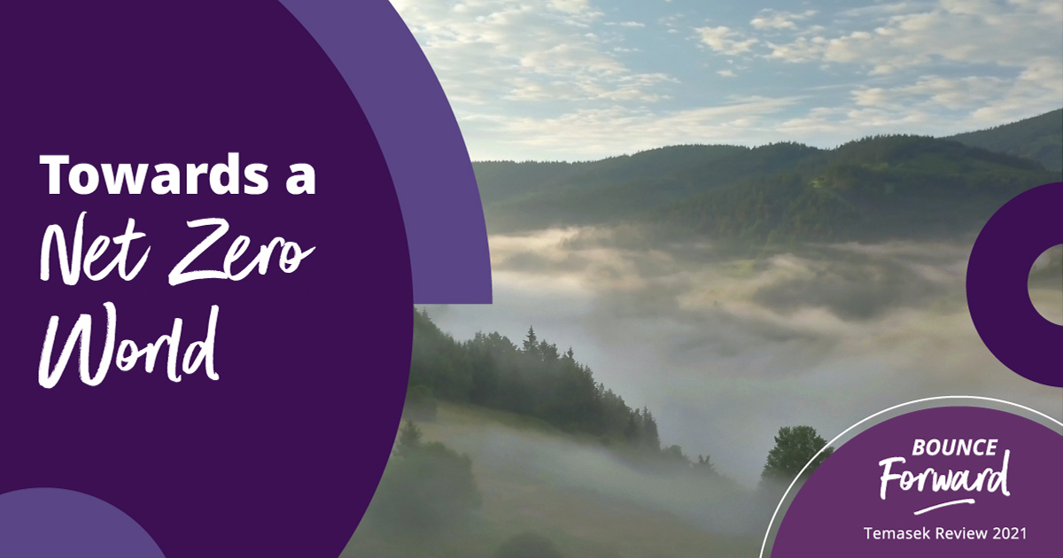 Towards a Net Zero World - Overview | Temasek Review 2021